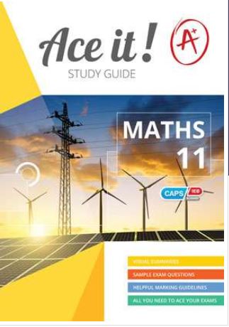 Ace it! Mathematics Grade 11 Study Guide - EDUWIZ